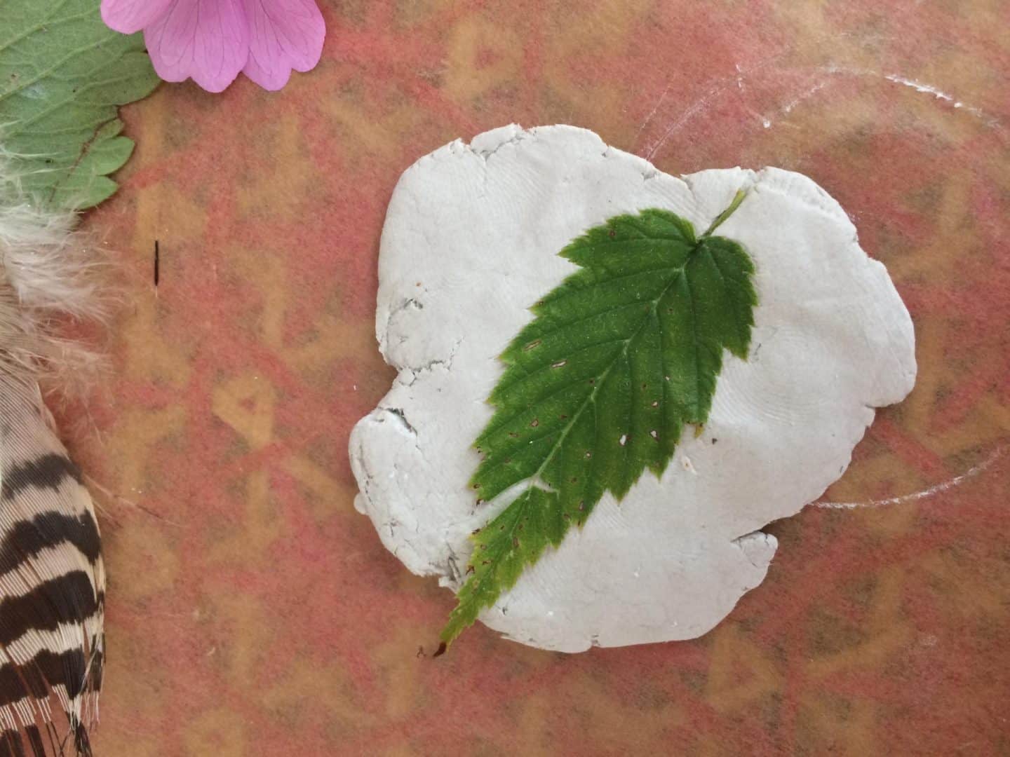 Clay Leaf Printing