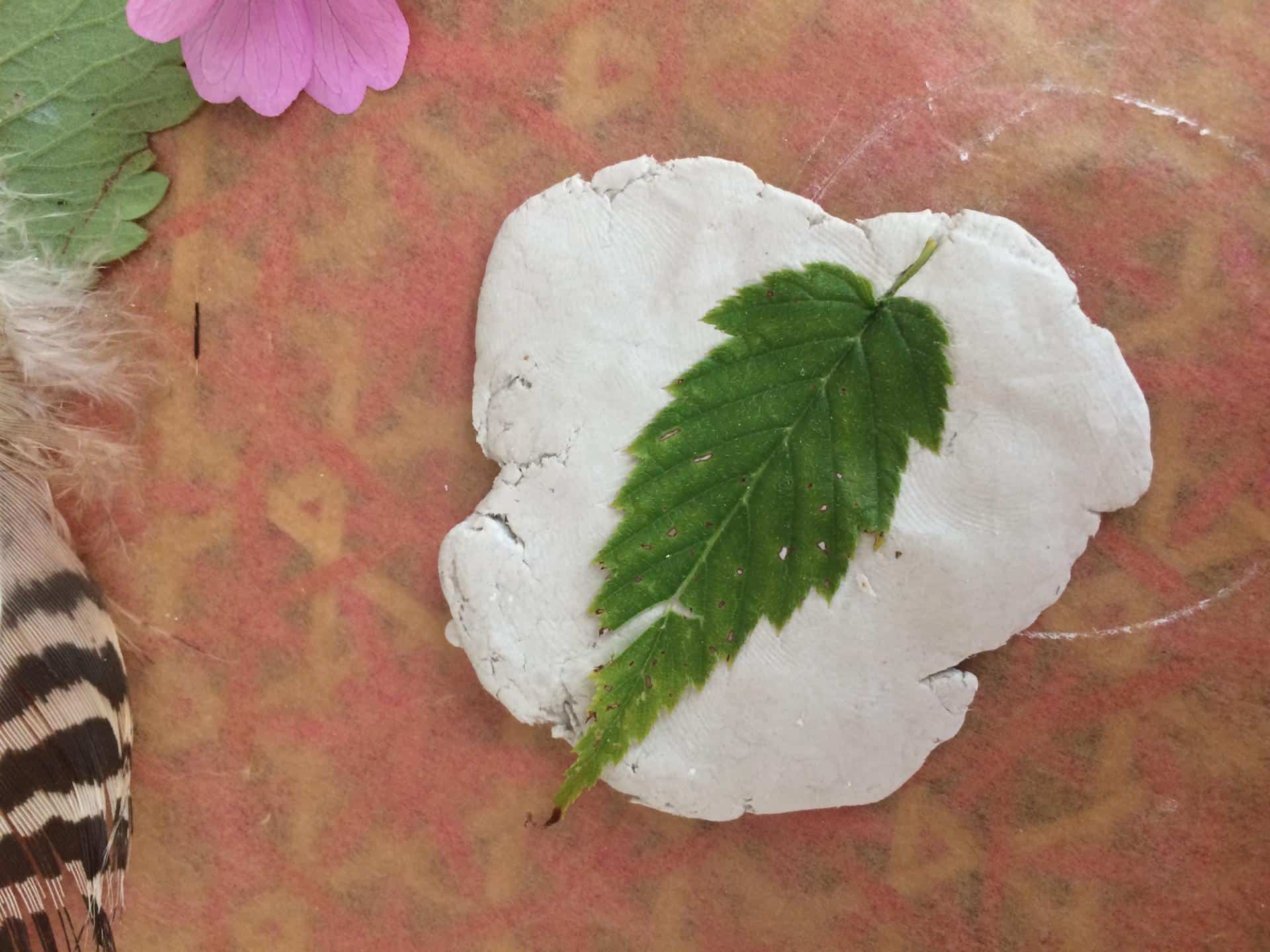 Clay Leaf Printing