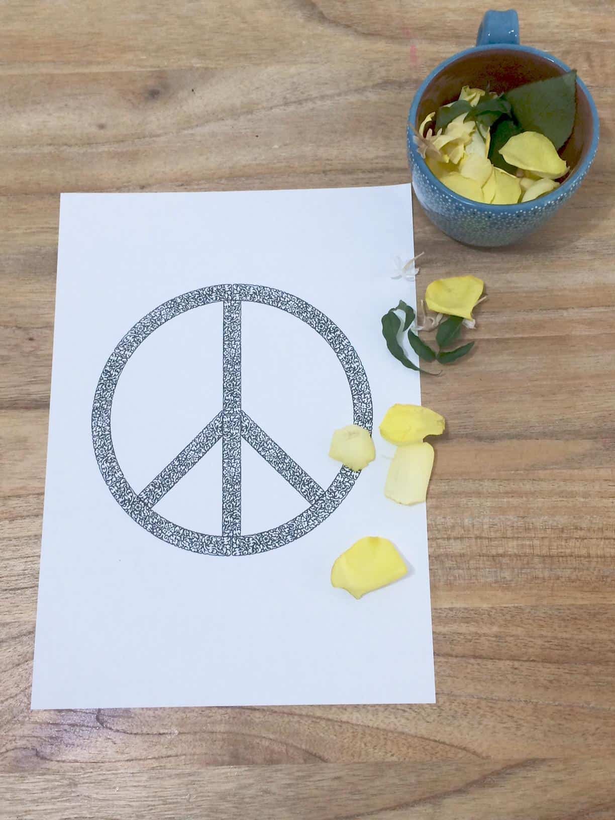 Peace craft